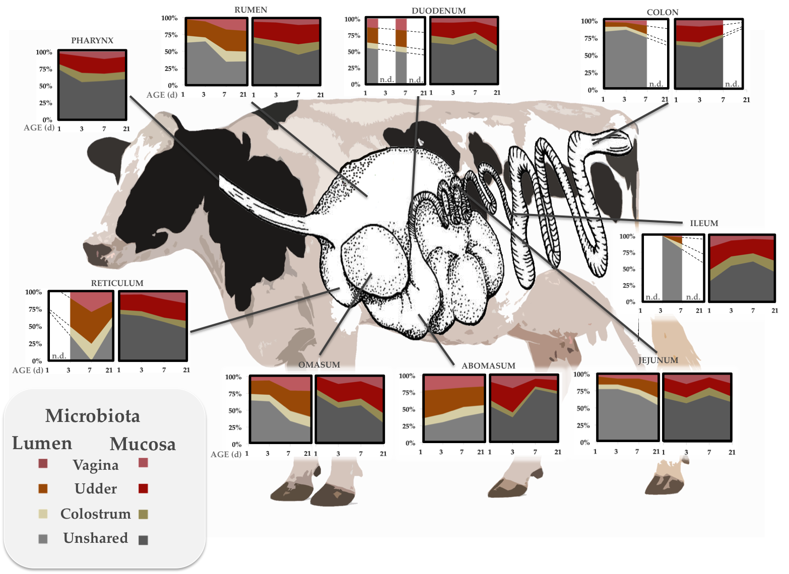 Projects – the yeoman lab